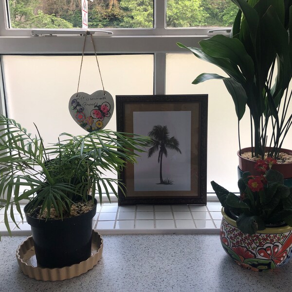 Clip Art, Dogs, Animals Clip Art, 3D, No Background, PNG, Commercial ...