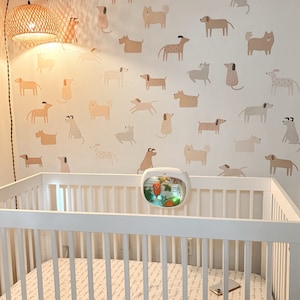 Cat Car Window Decal Car Decal, Window Decal, Car Stickers, Laptop ...