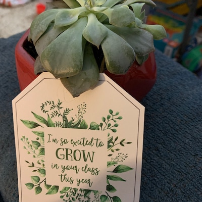 I'm so Excited to Grow in Your Class Gift Tag, Printable Instant ...