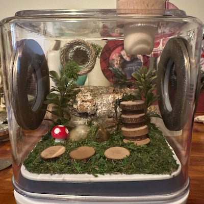 Jumping Spider Enclosure 5x5x9 Spider House, Spider Tank, Spider ...