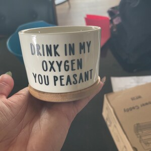 Drink in My Oxygen You Peasant. Funny Pun Succulent Plant Pot - Etsy