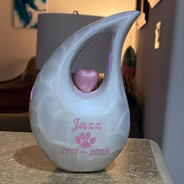 Game Over Cremation Urn for Ashes - Funeral Urn for Human - Urn for ...