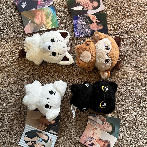 Enhypen En-dolls | Animal Fanmade Plushie | Jungwon | Heeseung | Jake ...