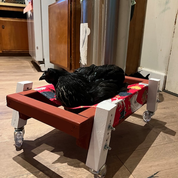 Chicken Wheelchair - Amish Made - Etsy
