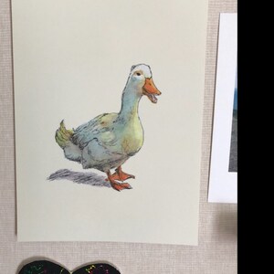 Unflappable Pigeon Fez Bird Art Print 5x7 Animal Watercolor - Etsy