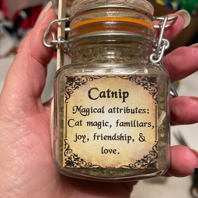 Catnip Herb & Jar - Etsy