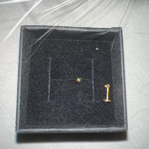 20G/18G/16G Titanium Star Threadless Push Pin Labret, Starburst Flat ...