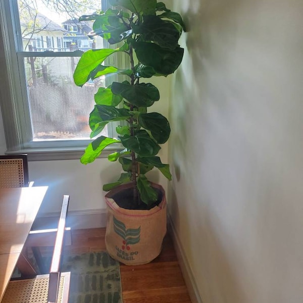 Burlap Roll Top Backpack Upcycled Rucksack Made of Authentic Coffee Bag ...