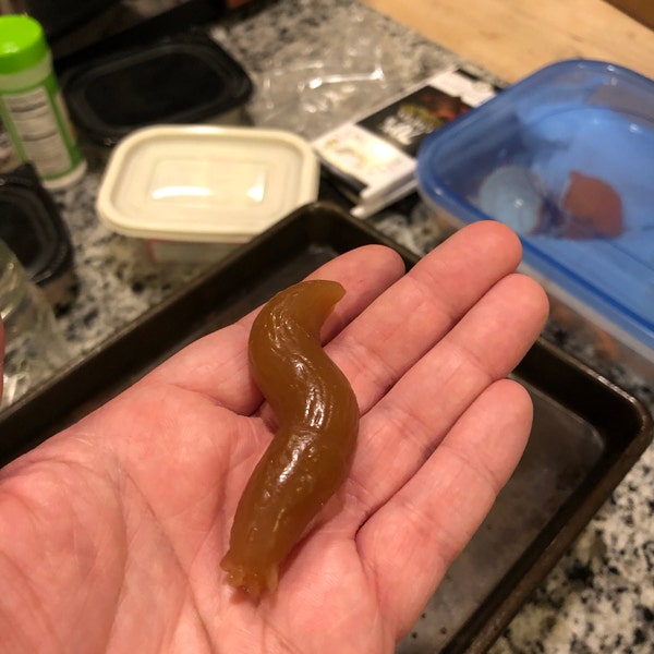 Made to Order Custom Food Safe Silicone Candy Molds - Banana Slugs - Etsy