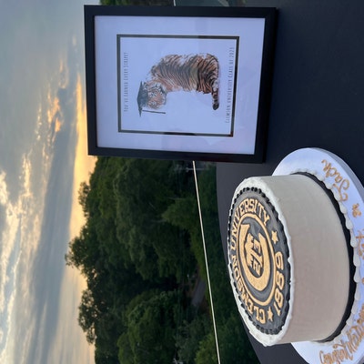 LSU Grad Print, Lsu Tiger Print, Tiger Grad Print, Lsu Grad Gift, Tiger ...