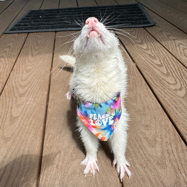 Sea Breeze Ferret Bandana - Ferret Scarf - Ferret Accessories - Clothes ...