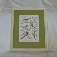 Starling Linocut Print, Original Linoprint, Bird Art, British Wildlife ...