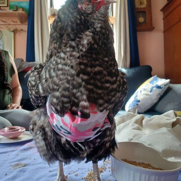 Chicken Bra, Crop Support, Pendulous Crop Support, Crop Bra, Hen Bra ...