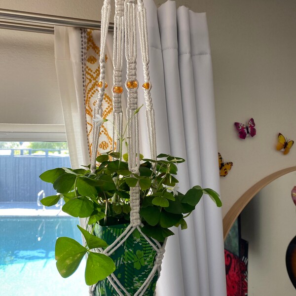 Dragonfly Air Plant Pod Hanger - Etsy