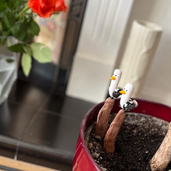 Polymer Clay Seagull Plant Pot Pet: Beach Home Decor - Etsy