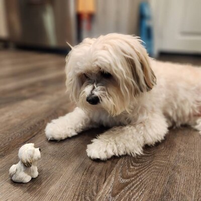 Little White Cream Pug Mini Resin Hand Sculpted and Cast - Etsy
