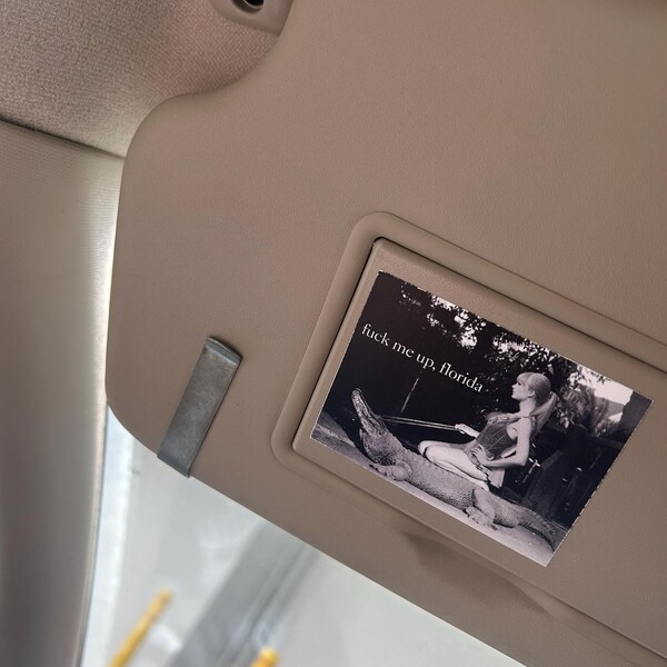 Shark Tale Vinyl Sticker Shrimp My Sister Had a Baby Quote Tiktok Trend ...