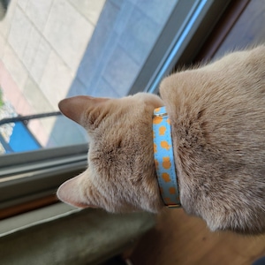 Gold Fish Cat Collar With Bell and Charm, Blue Breakaway Cat Collar ...
