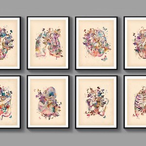 Set 12 Muscle Anatomy Art, Human Muscular System, Medical Decor ...