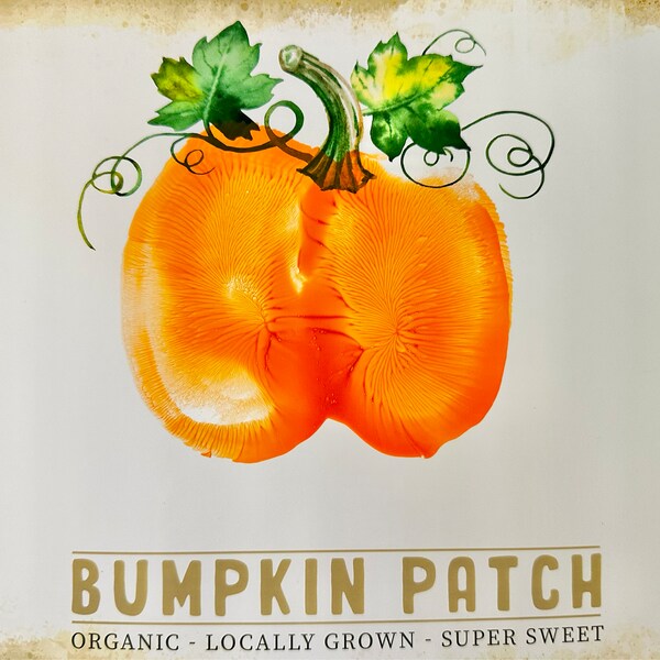 Bumpkin Patch / Pumpkin Bumkin / Baby Toddler Bum Bottom Print / First ...