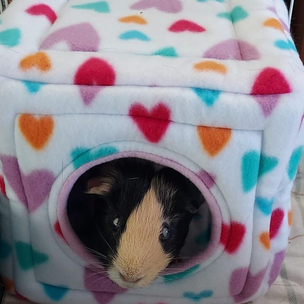 Guinea Pig Tunnel Guinea Pig Accessories Colorful Guinea Pig Play ...