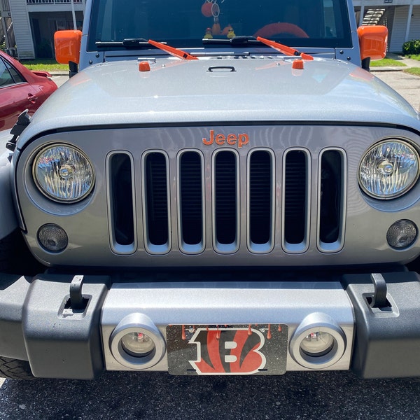 Las Vegas Raiders Vanity License Plate for Football Fan. Raiders ...