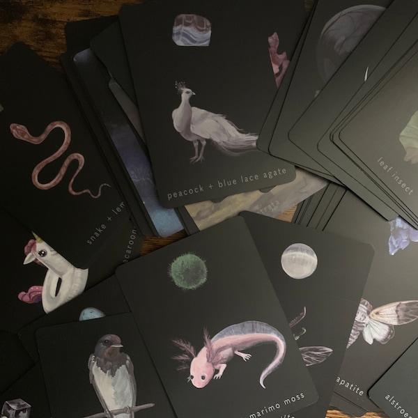 Sale Obsidian Oracle Deck the Black Edition - Etsy
