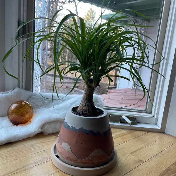 Blue Ridge Planter | Desert Pot | Handmade | Pottery | Boho | Concrete ...