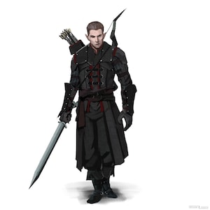 Custom Character Commission for RPG - Etsy