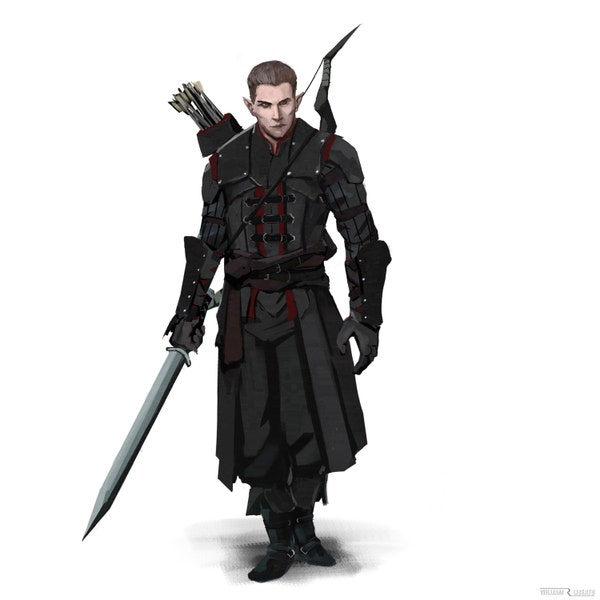 Custom Character Commission for RPG - Etsy