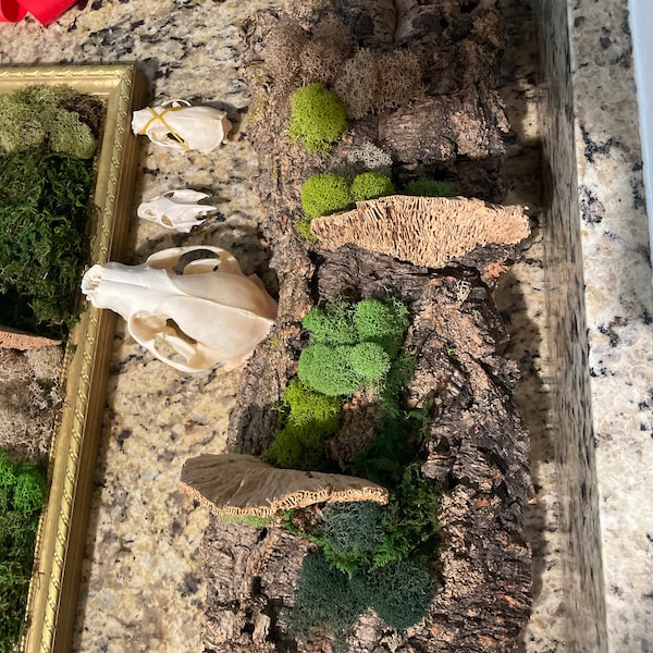 Floating Forest Art Gift, Moss on Cork Bark Natural Wall Decor ...