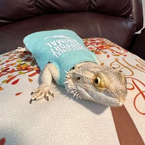 Bearded Dragon Candy Corn Costume Sweater Halloween Lizard - Etsy