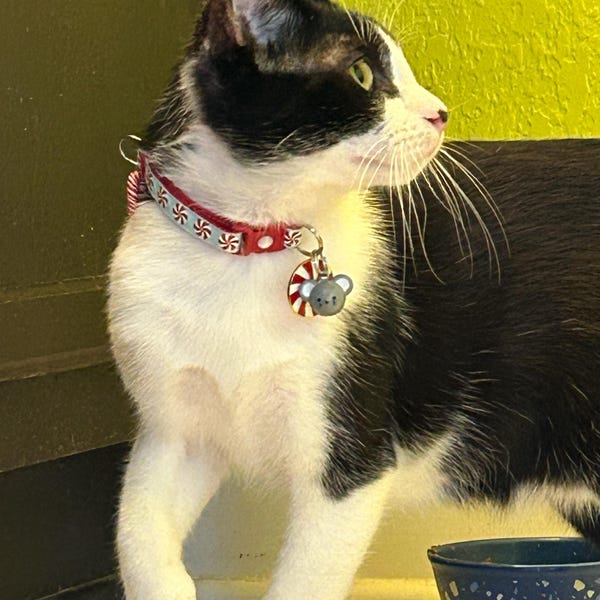 Cat Bells - Special Character Jingle Bells - Cat Collar Bells - Extra ...