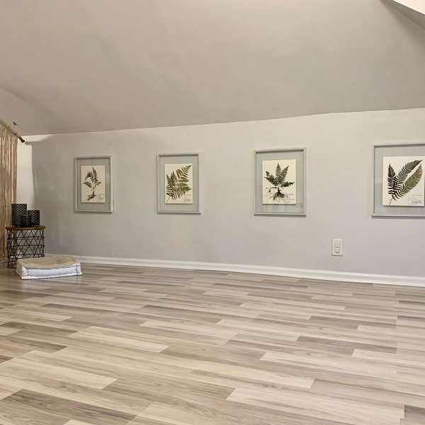 Fern Print Set of 6; Pressed Fern Gallery Wall Scientific Decor for ...