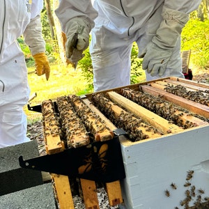 Beehive Rain and Snow Visor Awning for Beehive Snow and Rain Protection ...