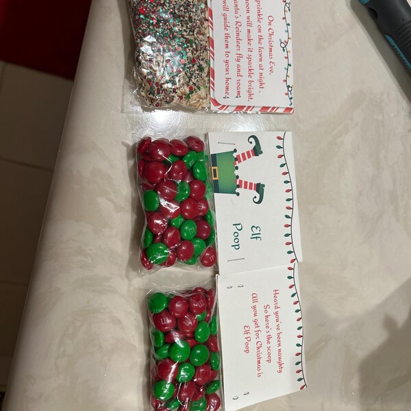 Santa Cam, Elf Cam, WITH PERSONALIZATION Surveillance Camera, Santa Spy ...