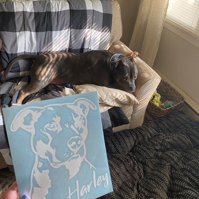 Personalized Pit Bull Decal Dog Window Decal Pit Bull Car Decal Pit ...