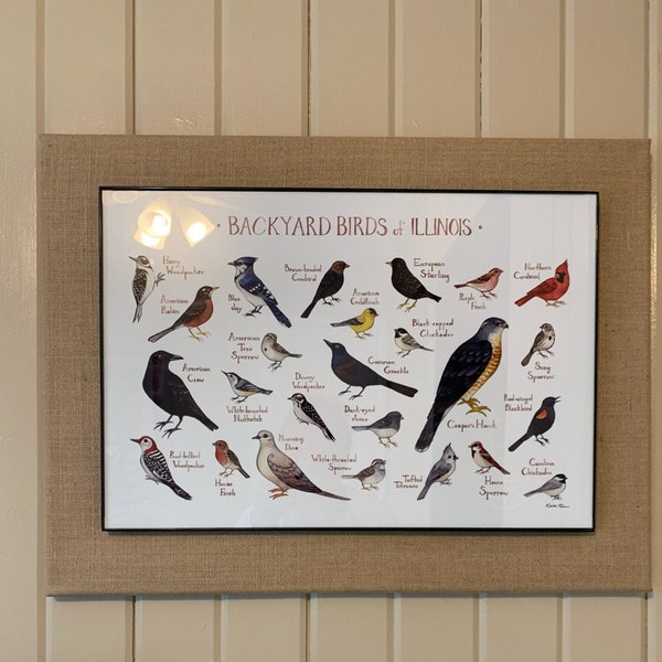 Illinois Backyard Birds Field Guide Art Print / Watercolor Painting ...