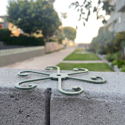 TINDER FUNGUS Mushroom Wall Shelf Unique Organic Floating Shelf, Rustic ...