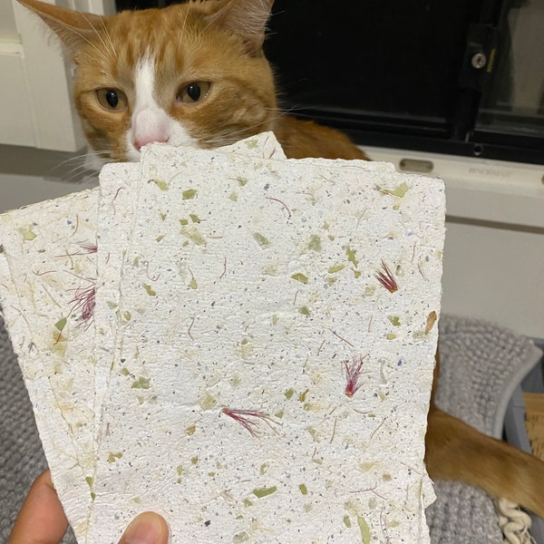 Childrens Mouse Papercraft Printable PDF, Mice and Cheese Paper Toy ...