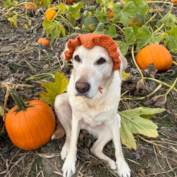 Santa Ruffle Dog Hat Crochet PATTERN - Etsy