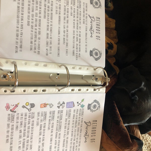 Autumn Fall Family Feud Trivia Printable Game ,adults Kids Fun Party ...