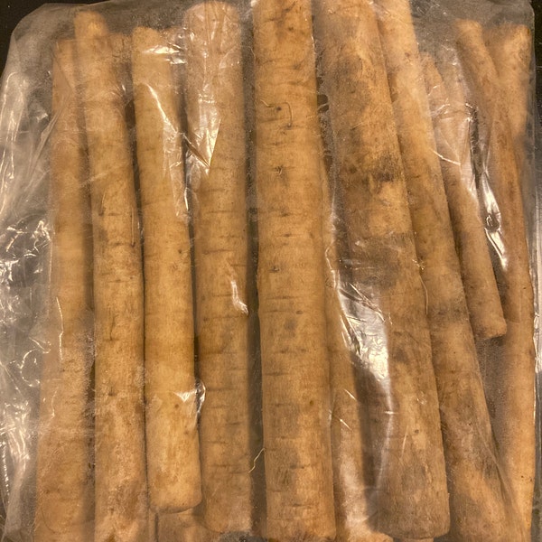 2-2.5lbs FRESH BURDOCK Root(gobo Root, Bardana) Free Shipping - Etsy