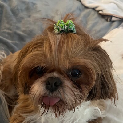 Satin Dog Bow With Swarovski Crystals and Rhinestones, Small Dog Hair ...