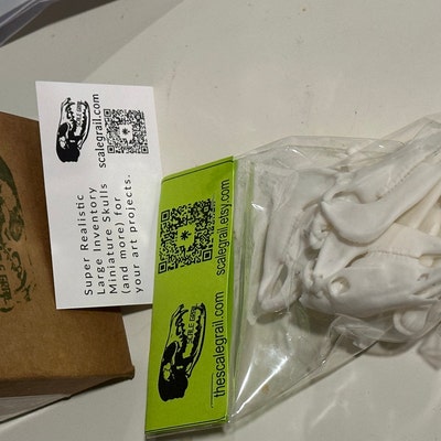 Human Skeleton HO Scale 1:87 Miniature for Horror Diorama, Dollhouse ...