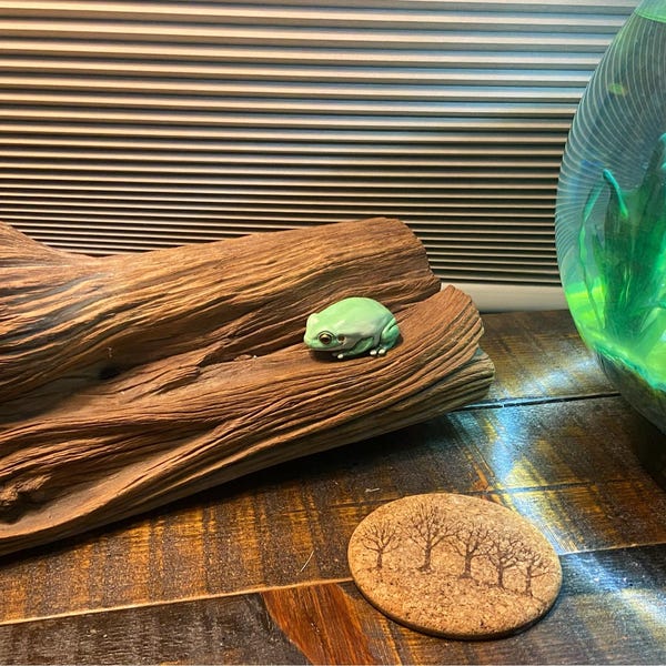 Sad Avocado Realistic Black Rain Frog Friend Deskpal - Etsy Canada