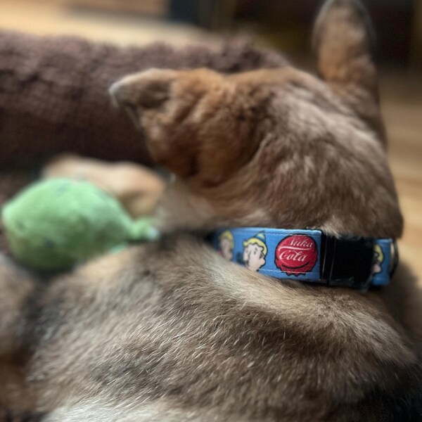 My Chemical Romance Band Dog Collar 2.0 - Etsy