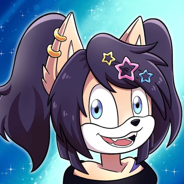 Sonic OC Art Commission, Sonic Drawing, Sonic the Hedgehog Commission ...