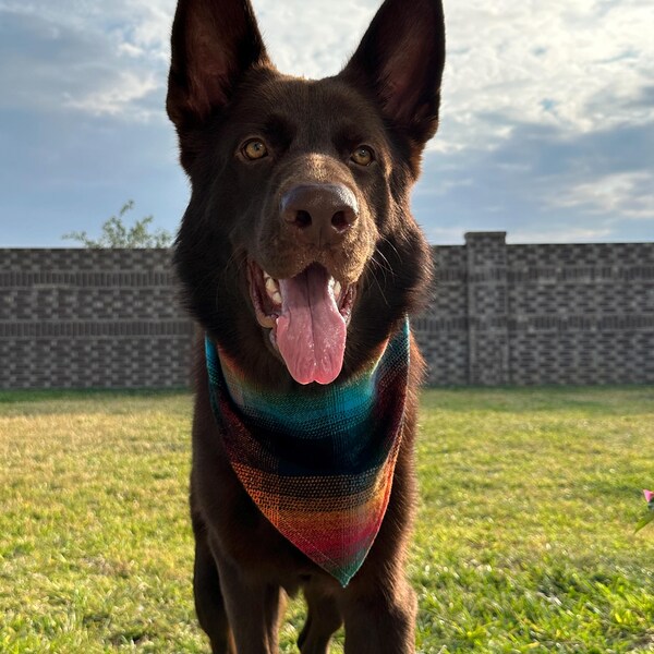 Dog Bandana, Personalized Dog Bandana, Durango Plaid, Dog Bandana ...