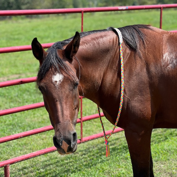 Custom Hand Braided Horse Neck Ropes - Etsy